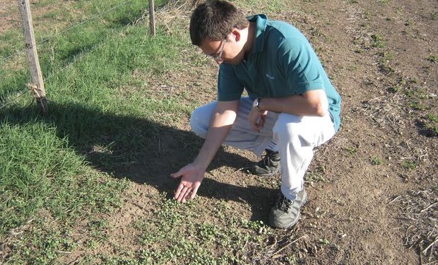 Un buen plan para combatir a las malezas | Agrofy News