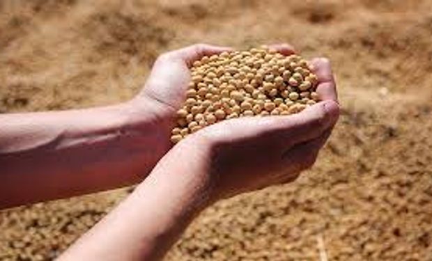 Ley De Semillas Y Biotecnología Agrícola Adelanto Del Congreso